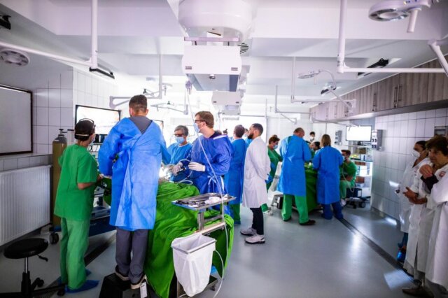 Semmelweis University of Medicine | 2024/25 Update