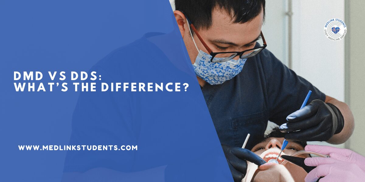 DMD vs DDS: What’s the Difference? - Medlink Students